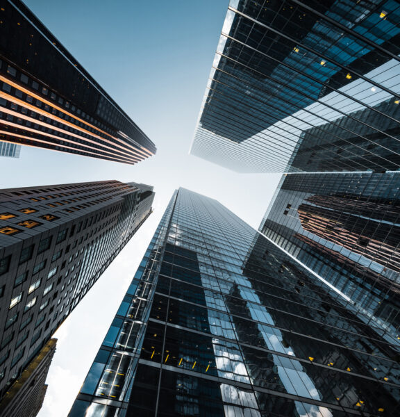 Latest Company News | TraditionData